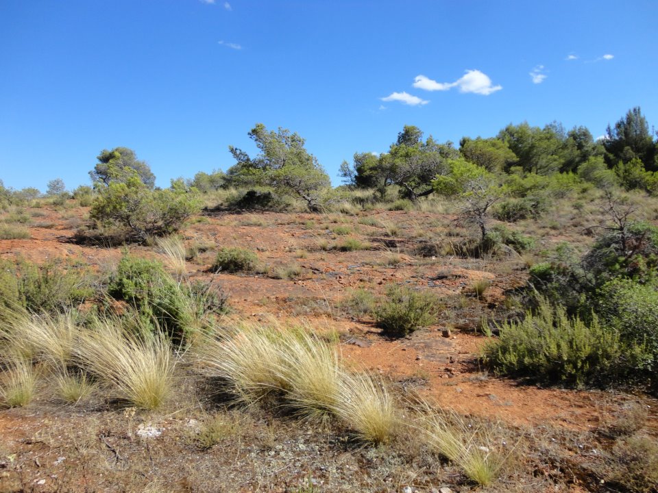 ADVENTURE IN A FRENCH DESERT! LA PROVENCE! - TRAVEL LOGS - PalmTalk