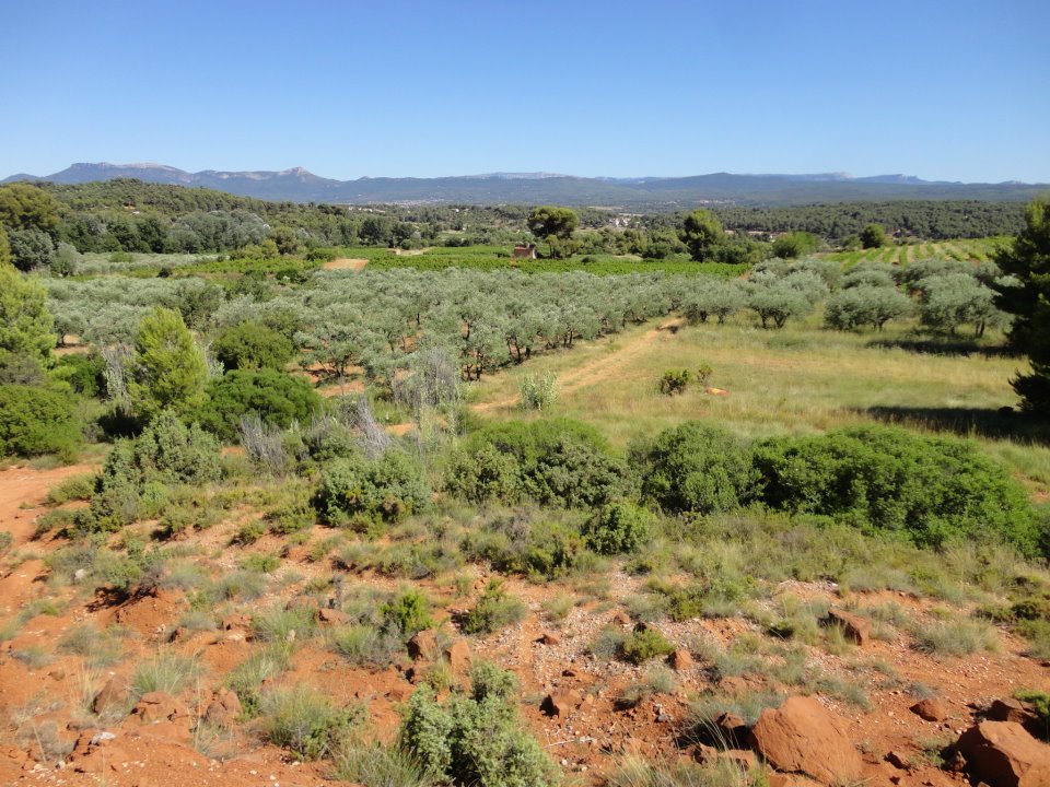 ADVENTURE IN A FRENCH DESERT! LA PROVENCE! - TRAVEL LOGS - PalmTalk