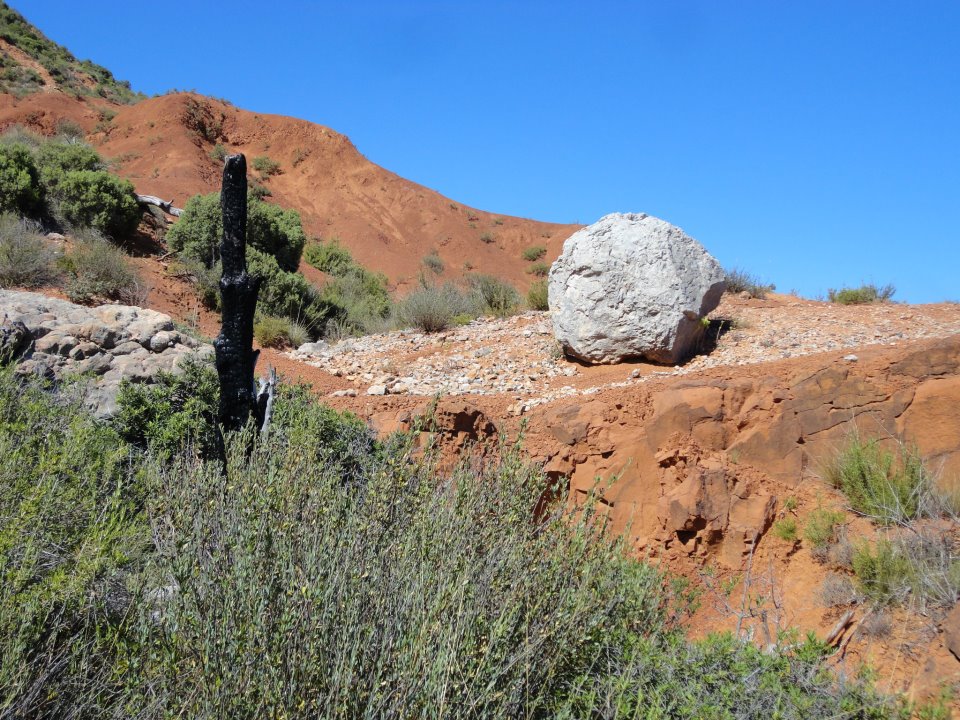 ADVENTURE IN A FRENCH DESERT! LA PROVENCE! - TRAVEL LOGS - PalmTalk