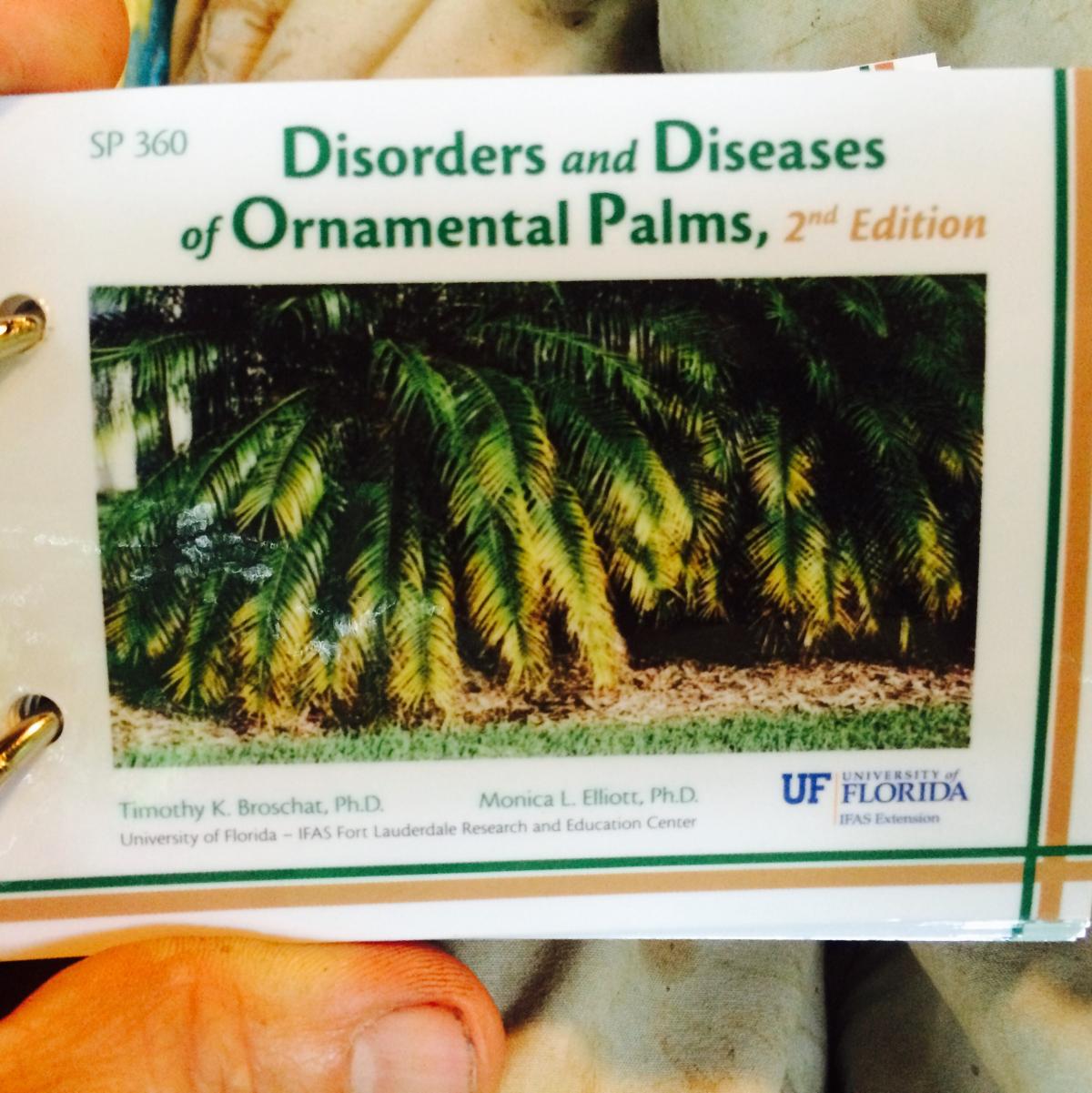 Disorders and Diseases of Ornamental Palms field guide - DISCUSSING ...