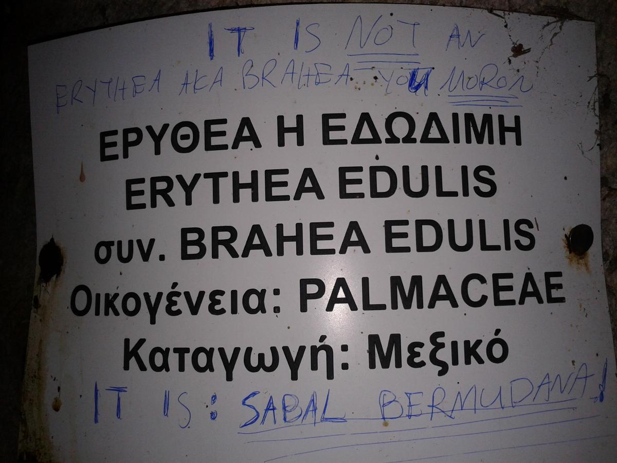 Guerilla tag correction - OHANA NUI - OFF TOPIC SUB-FORUM - PalmTalk