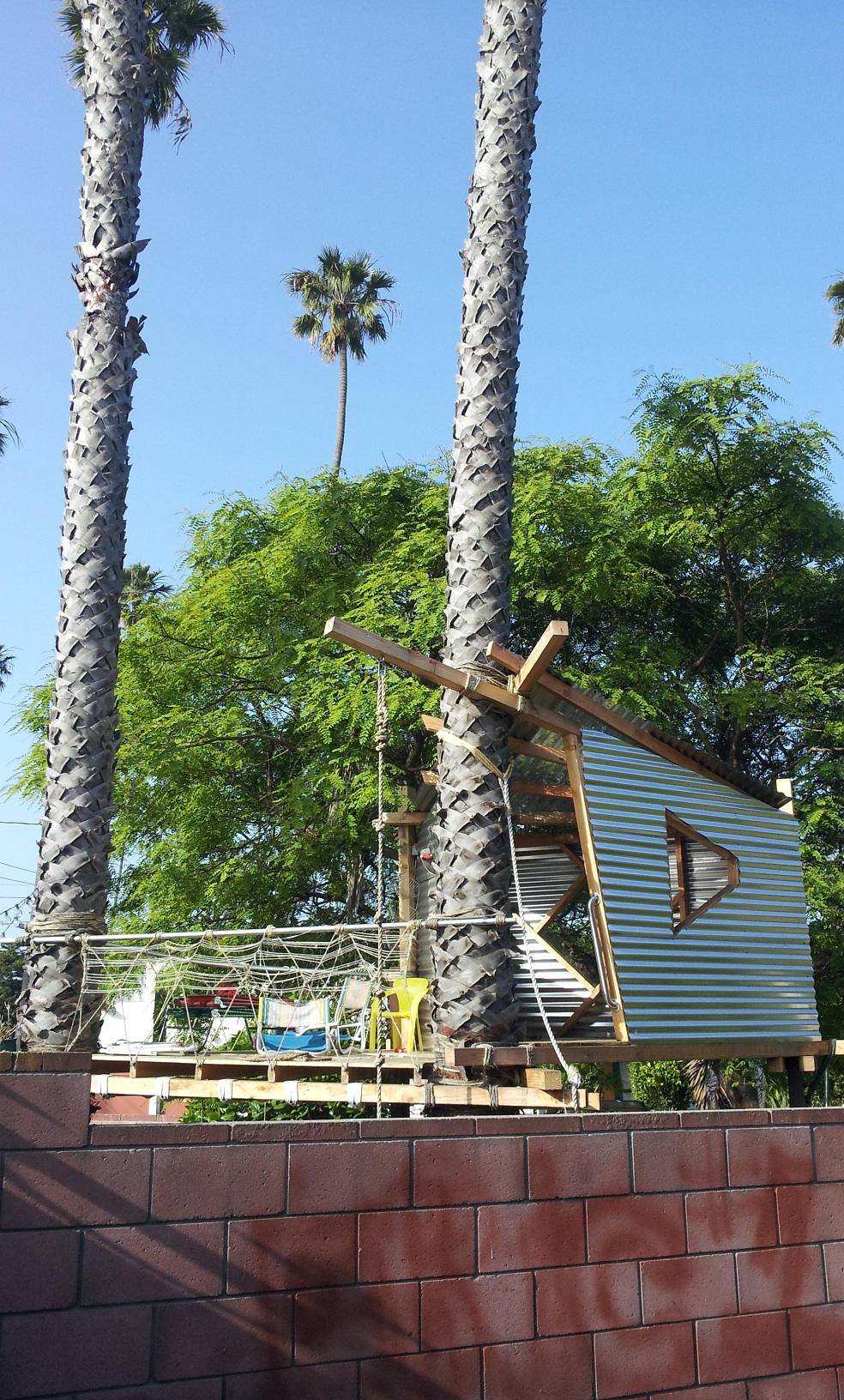 Palm tree fort. - DISCUSSING PALM TREES WORLDWIDE - PalmTalk