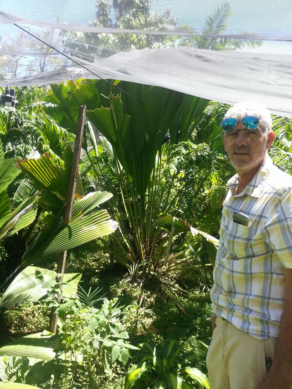 Marco Herrero Farm (Costa Rica) - February 2015 - DISCUSSING PALM TREES ...
