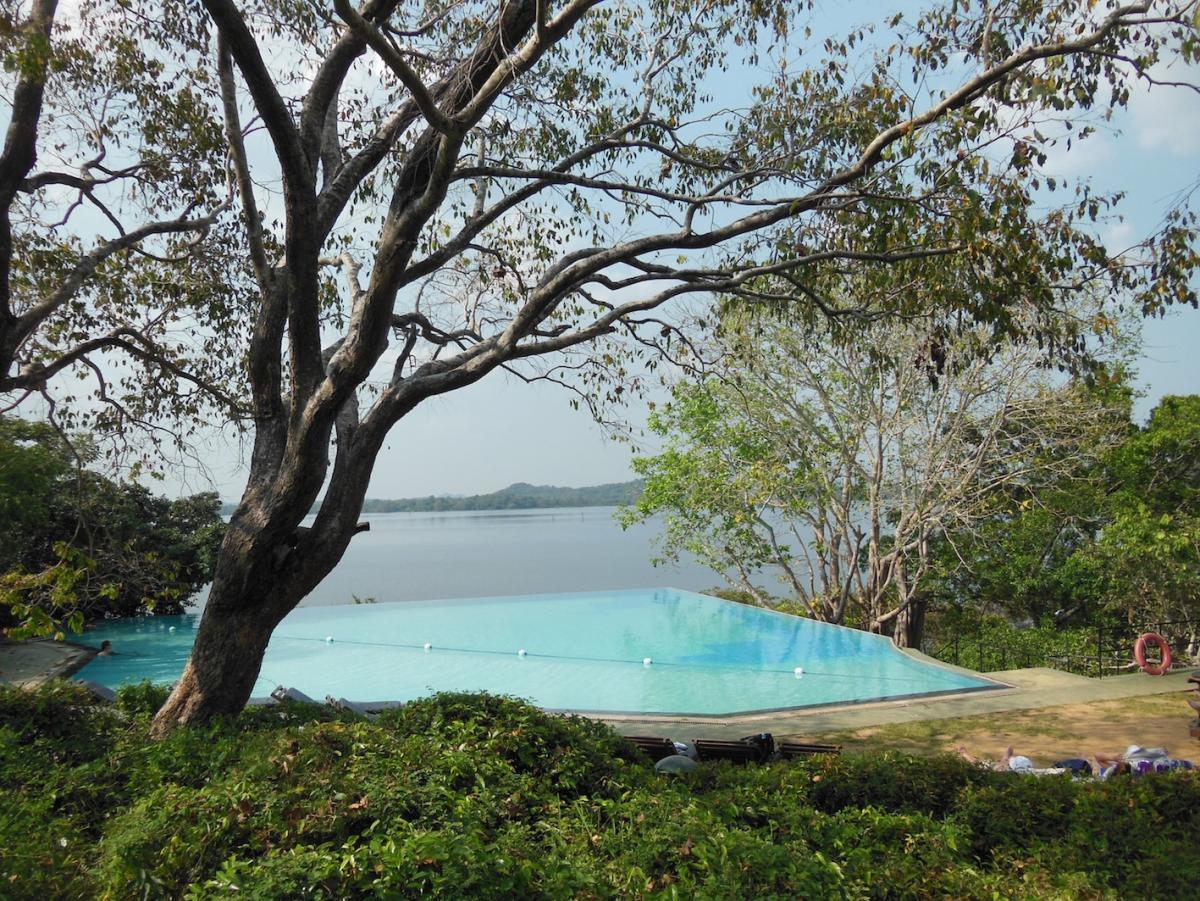 Kandalama, architecture and nature - TRAVEL LOGS - PalmTalk