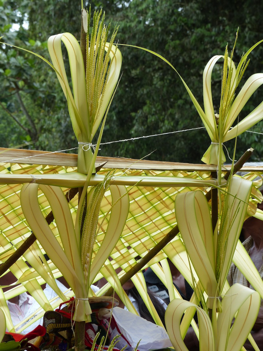 woven palms at the temple - DISCUSSING PALM TREES WORLDWIDE - PalmTalk