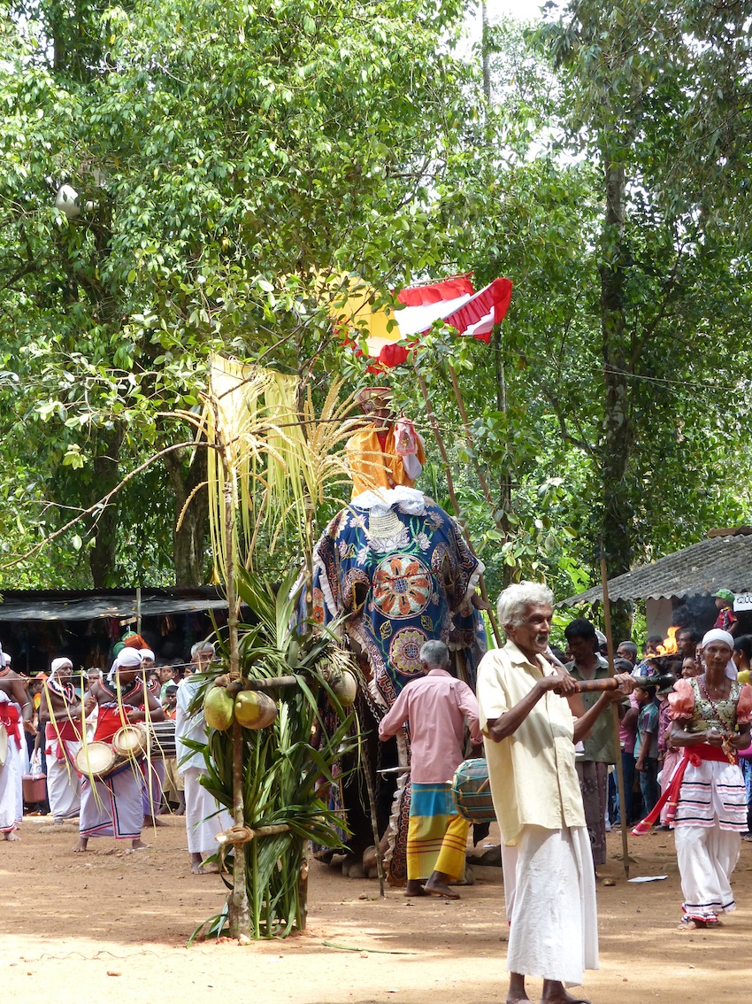 perahera in the village's temple - TRAVEL LOGS - PalmTalk